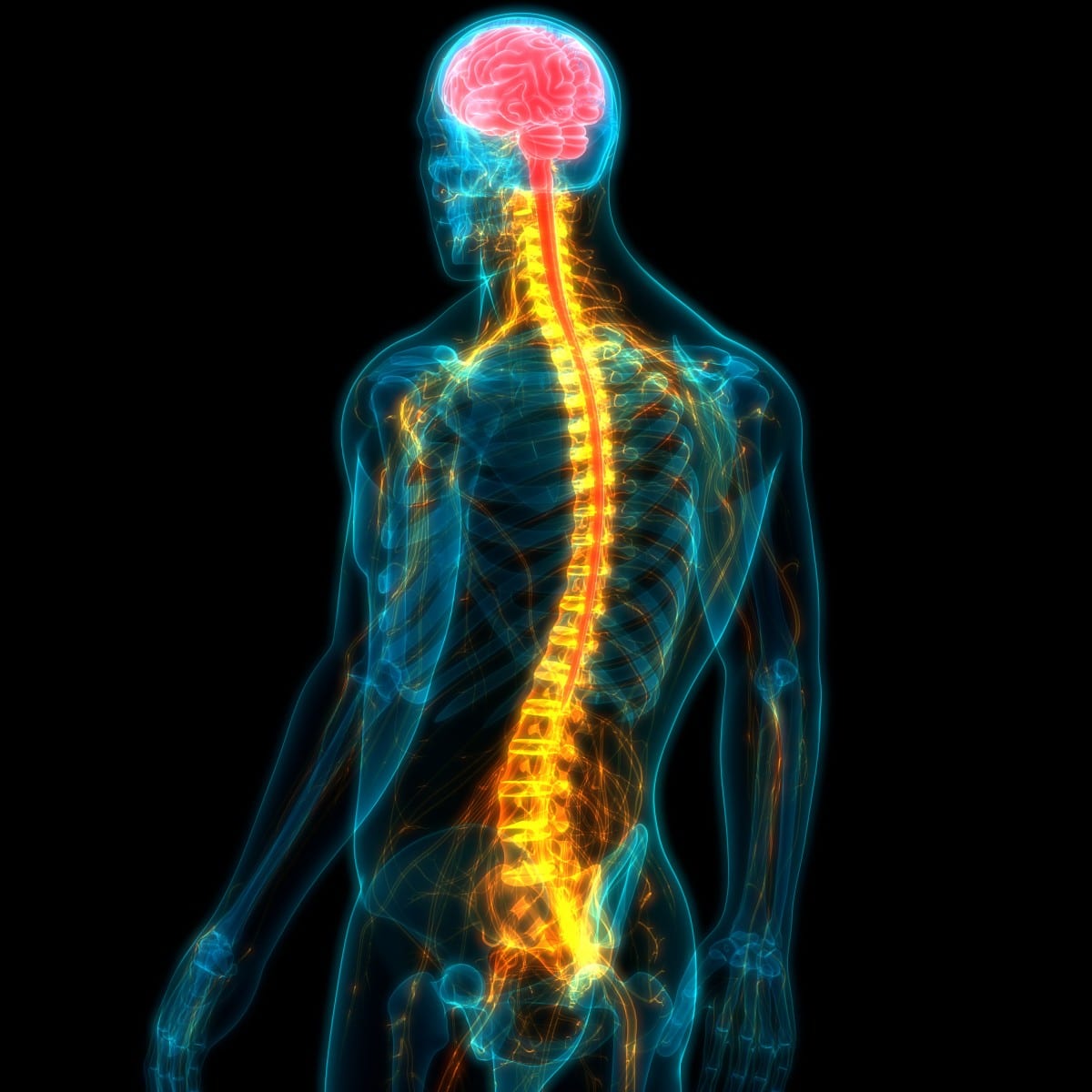 Spinal Cord Injuries and Hypotension - Gainsberg Injury and Accident ...